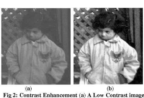 Figure 1 From Contrast Enhancement Techniques For Images A Visual
