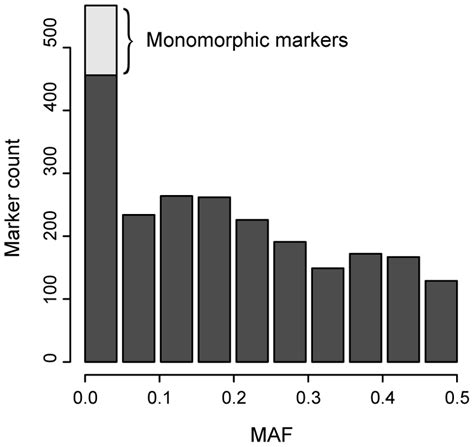 Histogram Of Minor Allele Frequencies Of Affymetrix 500k Markers N