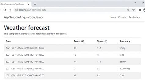 a guide for building angular spa with asp core 5 web api