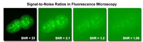 C11 Signal To Noise Ratio Snr Scientific Imaging Inc
