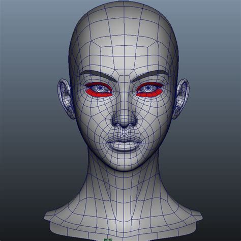 3d model of a face