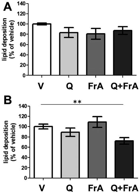 Neutral Lipid Accumulation Is Attenuated By Combined Poly Phenol