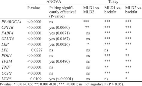 Repeated Measures Anova And Tukeys Multiple Comparison Test Results