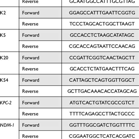 Primer Sequence About Virulence And Resistance Associated Genes