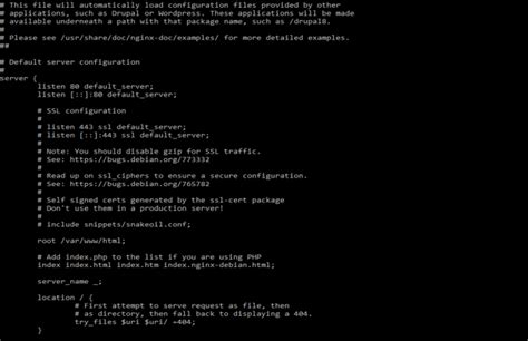nginx auth request definition how to use with examples