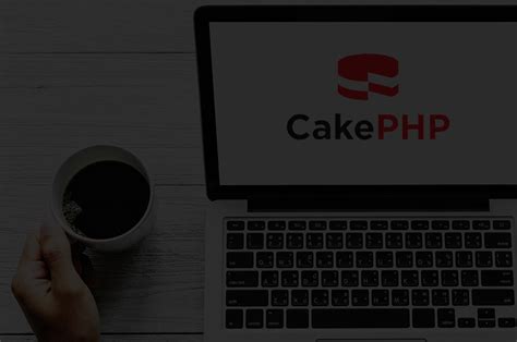cakephp framework development company custom web application