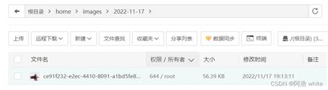 springboot上传图片到宝塔linux 本地上传和跨域上传 springboot上传图片到linux服务器 阿浩 white的博客