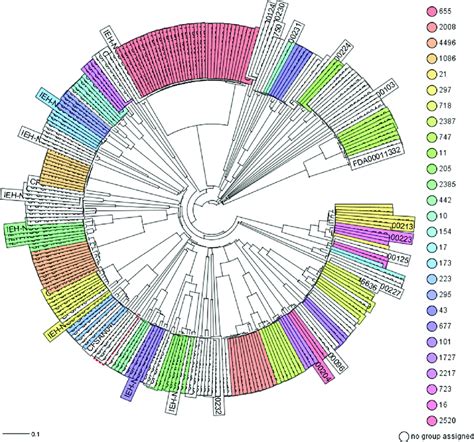 Phylogenetic Relationships Among The 276 Stec Genomes Of E Coli