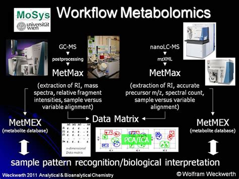 workflow metabolomics