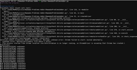 bash selenium python script on pythonanywhere stack overflow