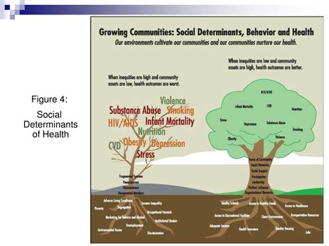 Ppt Social Determinants Of Health The Basics Powerpoint Presentation