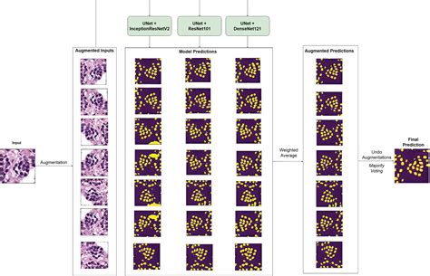 Cmc Free Full Text Nuclei Segmentation In Histopathology Images
