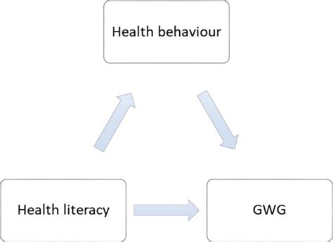 Health Literacy Among Pregnant Women In A Lifestyle Intervention Trial