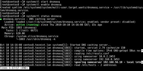 domain name network centos dmain name