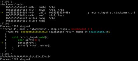 c lldb passing hex value as an input while debugging stack overflow