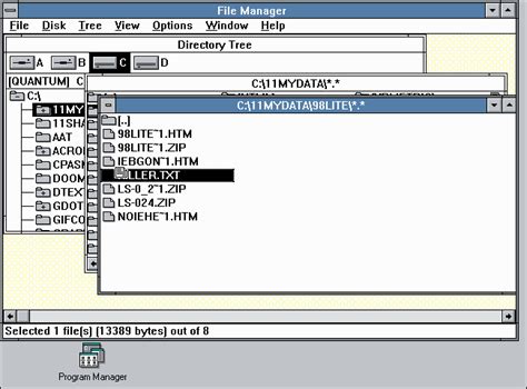 how to run windows 3 s file manager in windows 10