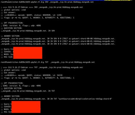 unable to look up txt record for host from gcp ap