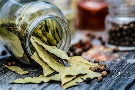 Ketahui 11 Khasiat Daun Salam Dan Efek Sampingnya Untuk Kesehatan Ubeauty