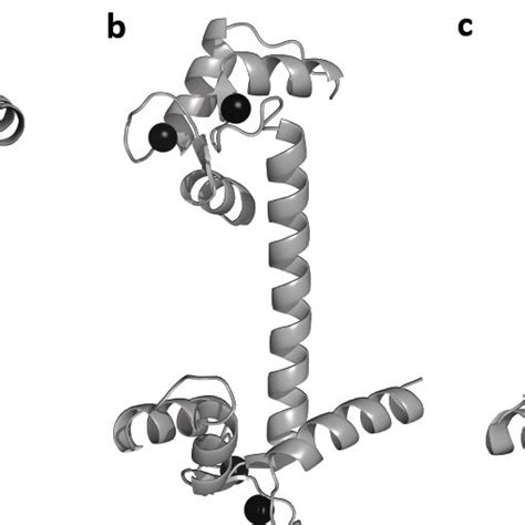 Different Conformations Of Calmodulin A Apo Structure B Holo