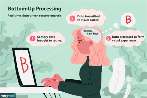 how bottom up processing works