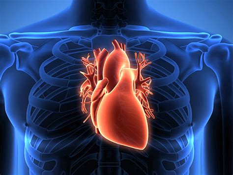 Sbi Foundation Organ Donation