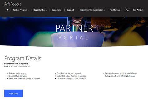 ms portals für dynamics 365 verlängern sie ihre werkbank alfapeople ch
