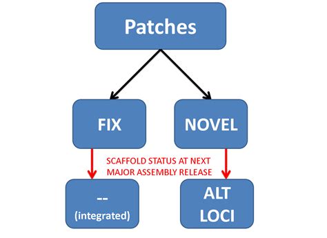 introduction to patches genome reference consortium