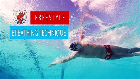 Freestyle Swimming Technique How To Breathe The Race Club Swimmer