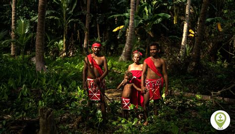 Stewards Of The Land The Power Of Indigenous Communities In Fostering