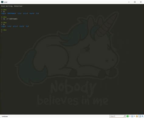 running windows 10 ubuntu bash in cmder gingter ale