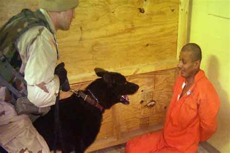 Abu Ghraib Torture Us Contractor Pays 5 Million To Victims