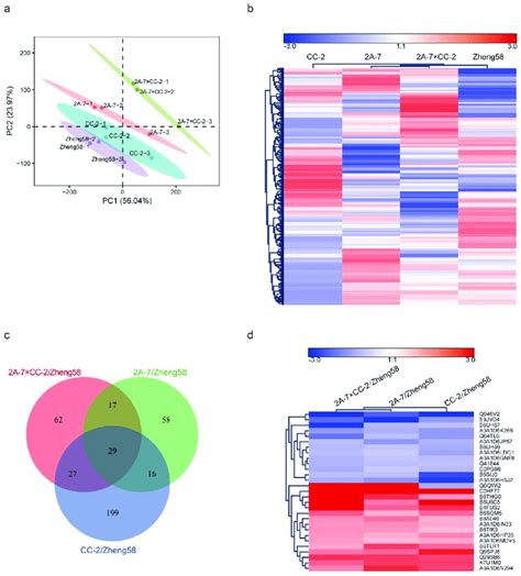 Protein Expression Pattern Analysis A Principal Components Pcs