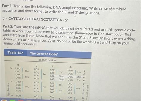 Solved Part 1 Transcribe The Following Dna Template Strand