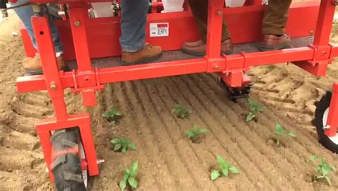 2 row vegetable seeding transplanter automatic vegetable seedling