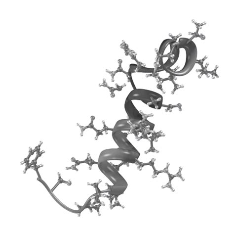 Post Translational Modifications Part 1 Lubioscience