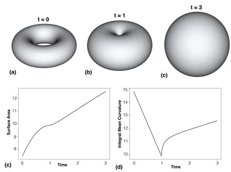 The Evolution Of A Torus Into A Sphere The Center Hole Of The Torus