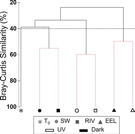 dendrogram plot of the hierarchical cluster analysis group average