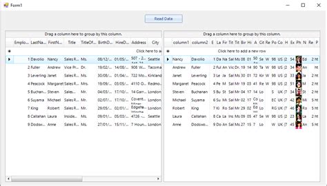 bind data to radgridview in ui for winforms gridview telerik forums