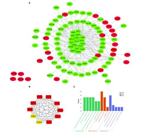 A The Ppi Network Of Degs Identified From The Two Microarray