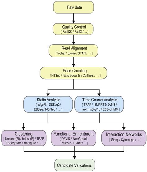 Workflow Rna Seq Blog