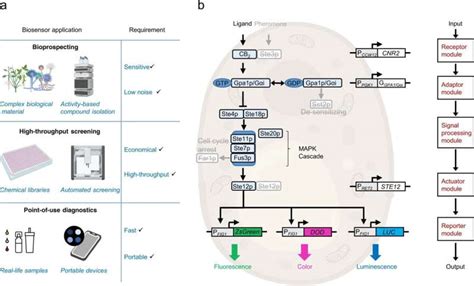 scientists remove yeast cell s sex drive and turn it into a cannabis