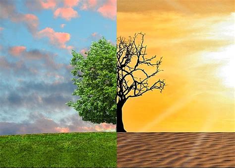 O Que São As Mudanças Climáticas Clima Um Só Planeta