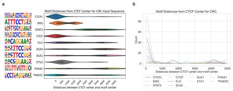 Genes Free Full Text Dardn A Deep Learning Approach For Ctcf