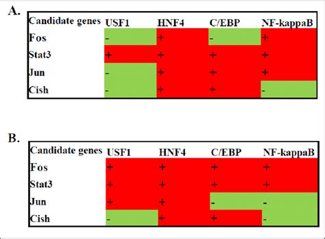 Tf Elisa Validation Of The Coregulatory Relationships In Mouse