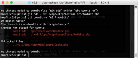 git file keep appear in modified section and can t commit it stack