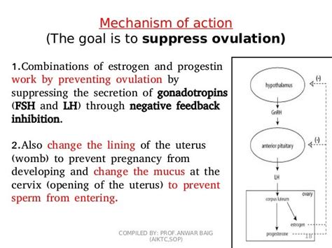 4 Oral Contraceptives