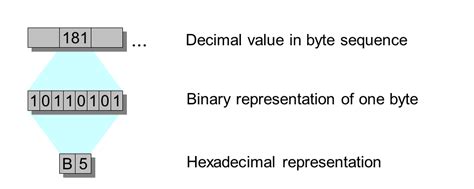 processing byte strings