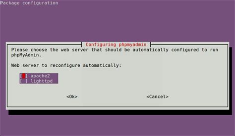 install nginx mariadb php and phpmyadmin in ubuntu 18 04 tech tutorial