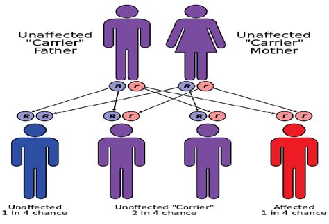 Autosomal Recessive Gene Therapy