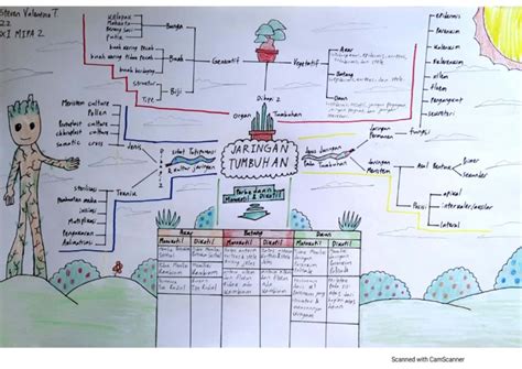 Tugas Mind Map Jaringan Tumbuhan Pdf